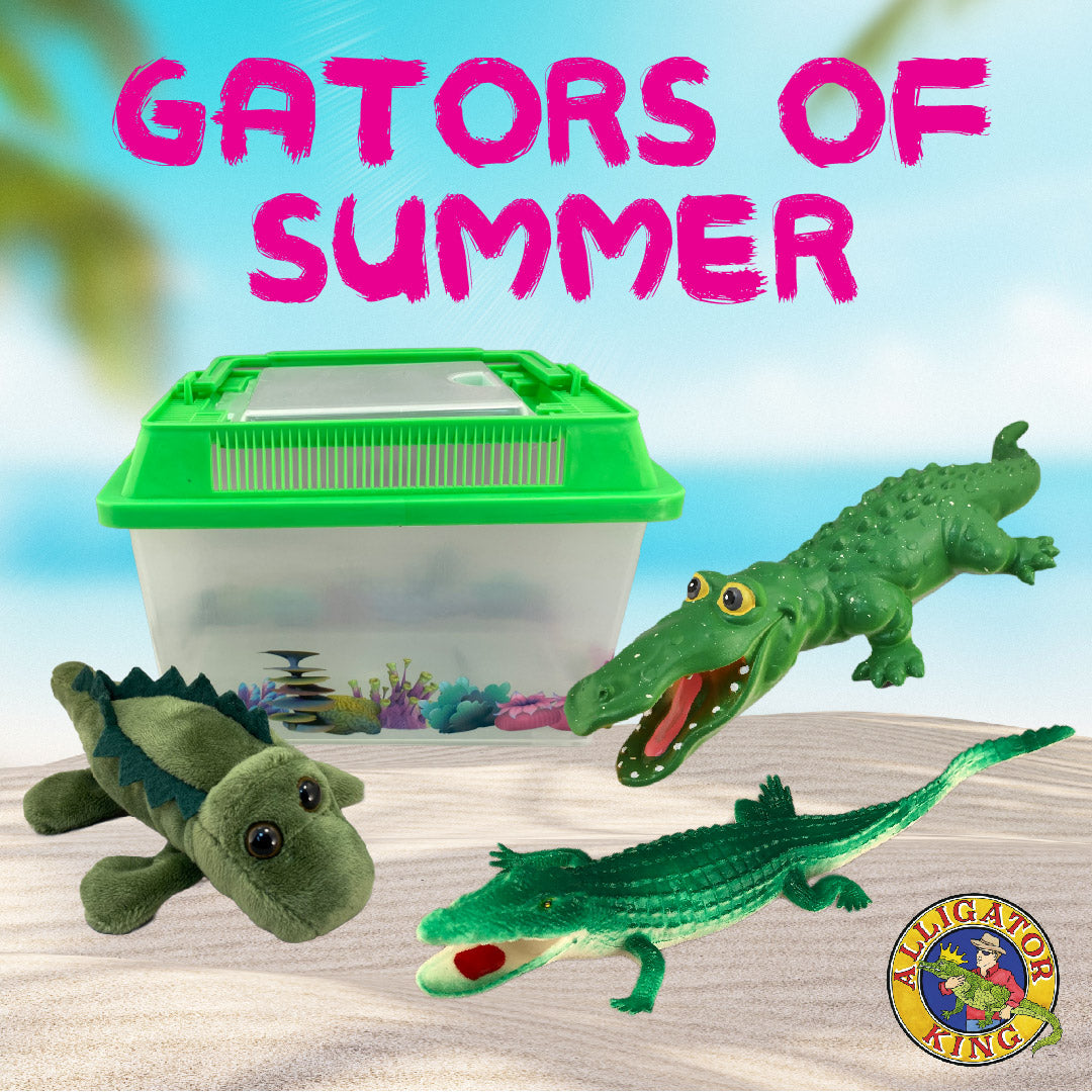 Gators of Summer | Alligator King