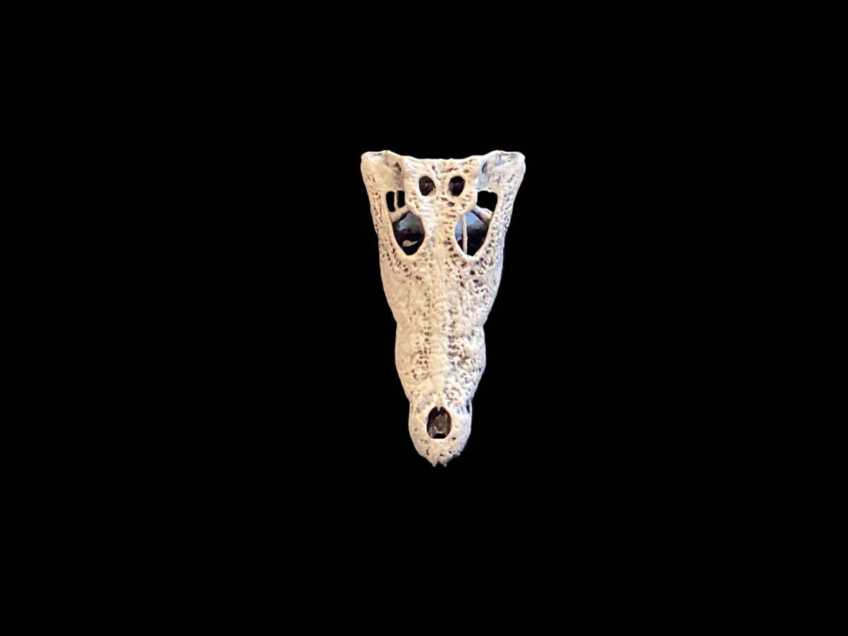 3-D Printed Crocodile Cranium 1:12 Bone Color – Alligator King