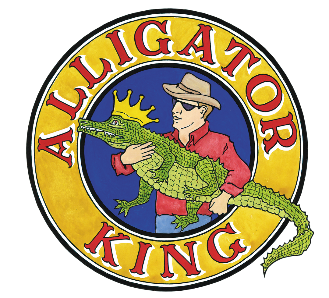 20+” Trophy-Size Alligator Head – Alligator King