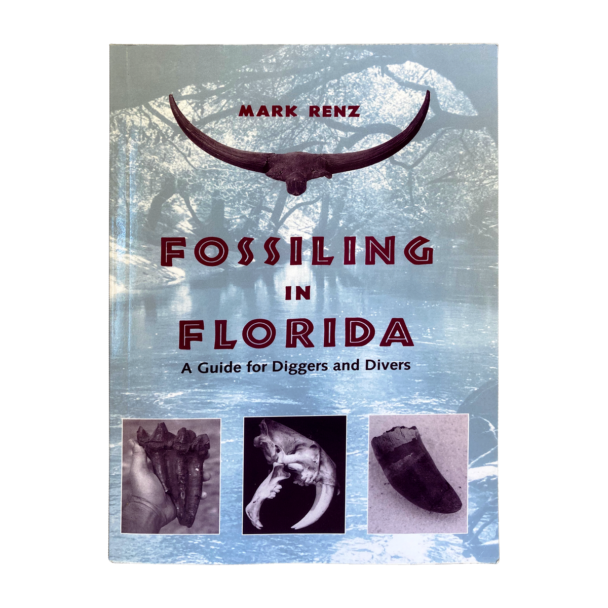 Fossiling in Florida - A Guide for Diggers and Divers – Alligator King