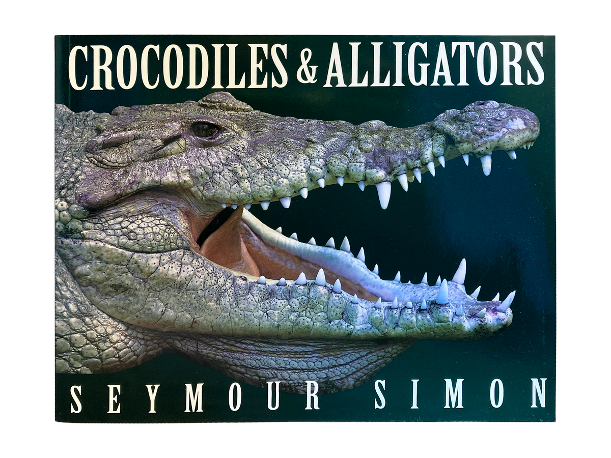 Crocodiles and Alligator - Simon – Alligator King