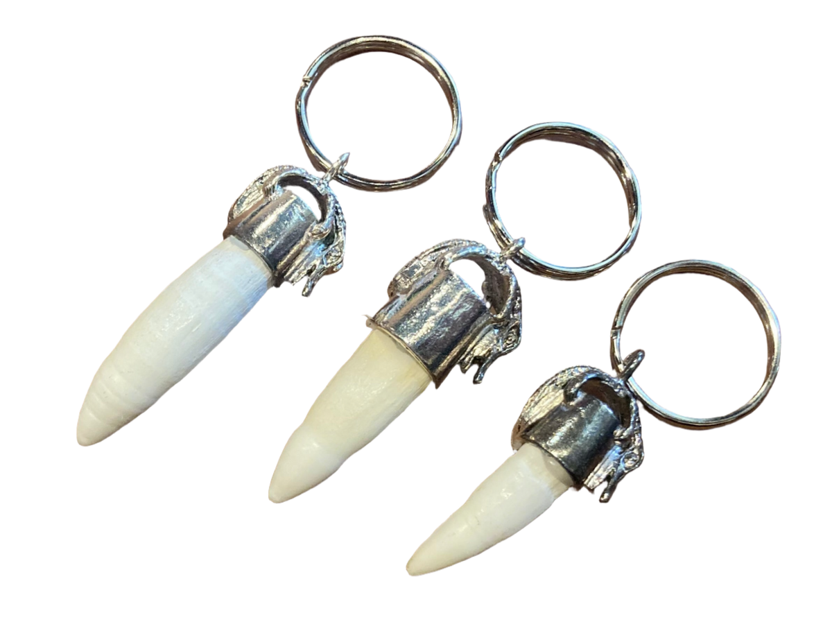 Alligator Tooth Key Ring with Alligator Cap - 3 Sizes - nice teeth ...