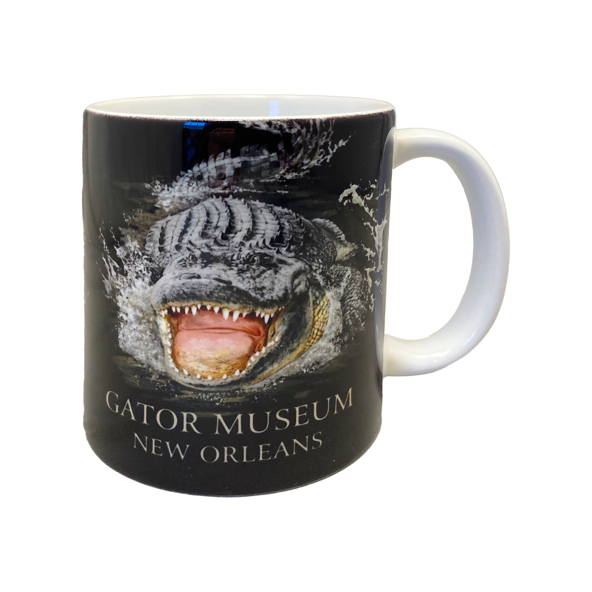 GATOR MUSEUM" Mug" – Alligator King