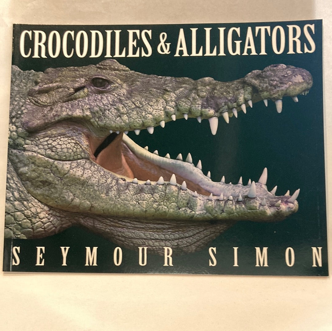 Crocodiles and Alligator - Simon – Alligator King