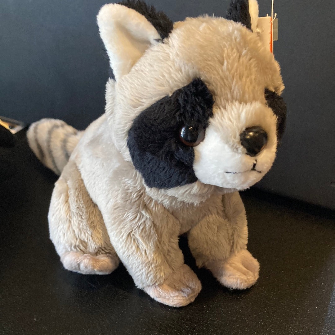 Pocket-sized Raccoon – Alligator King