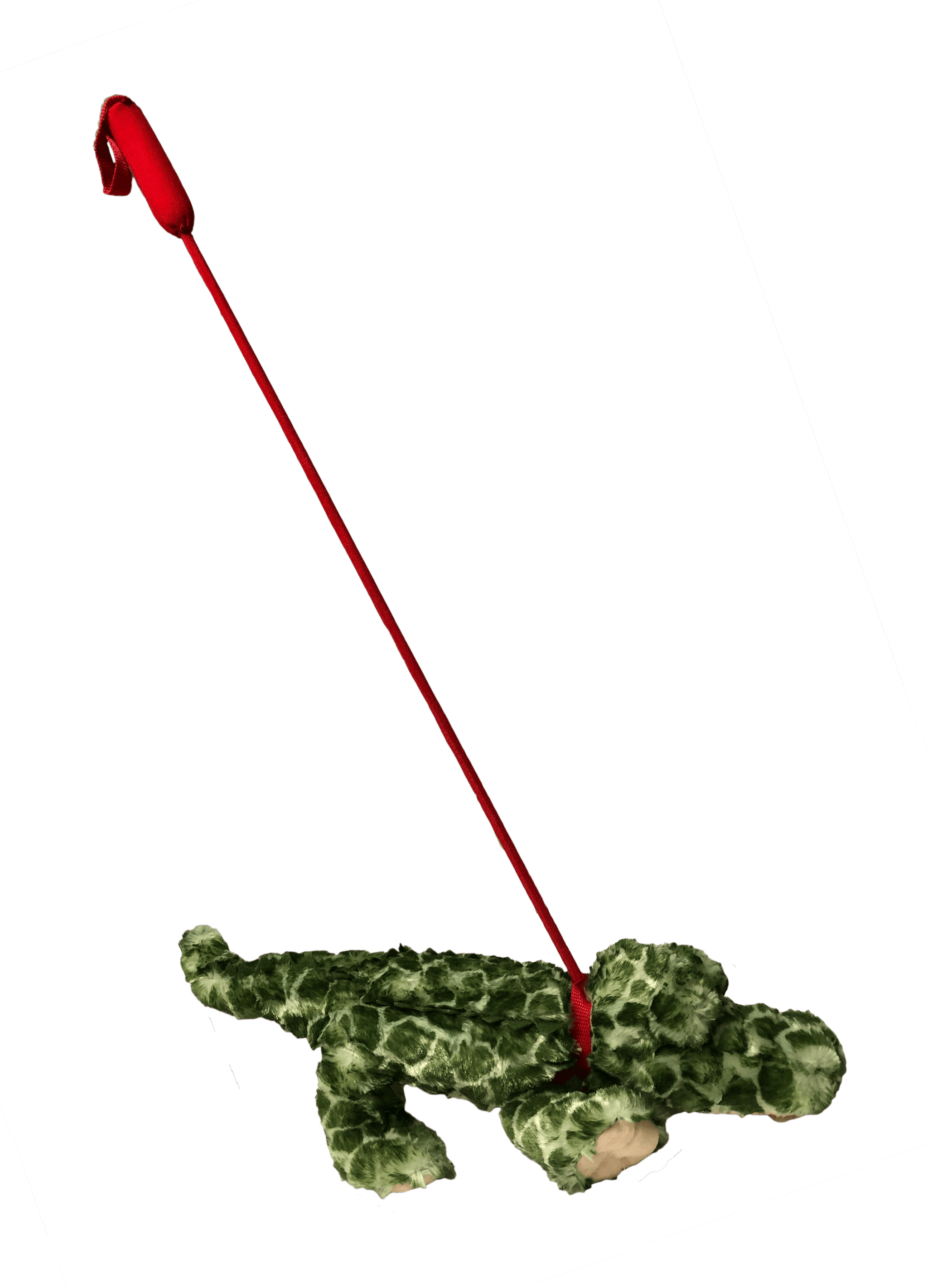 Gator Sidekick on a leash | Alligator King